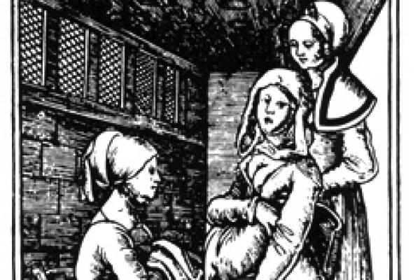 torch knowledge exchange