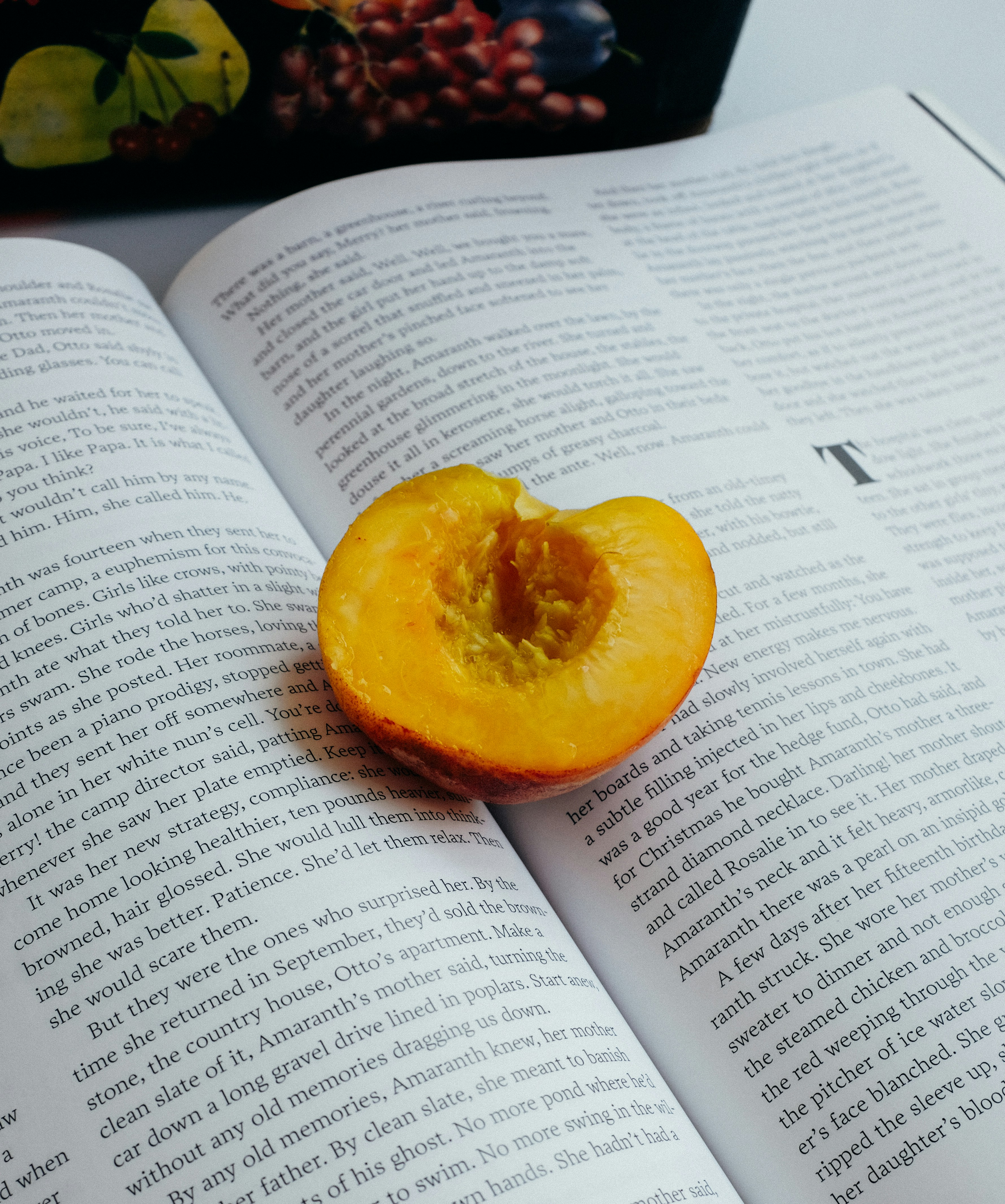 Review of 2025 Book at Lunchtime – What a year! | TORCH | The Oxford ...