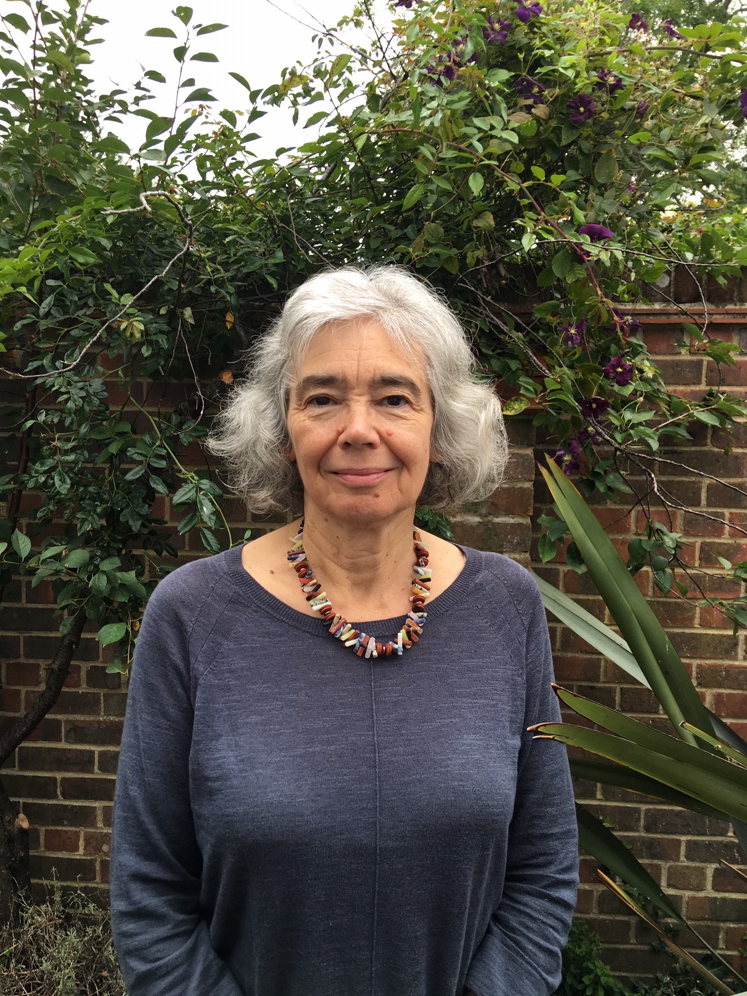 Prof Sally Shuttleworth | TORCH | The Oxford Research Centre in the ...